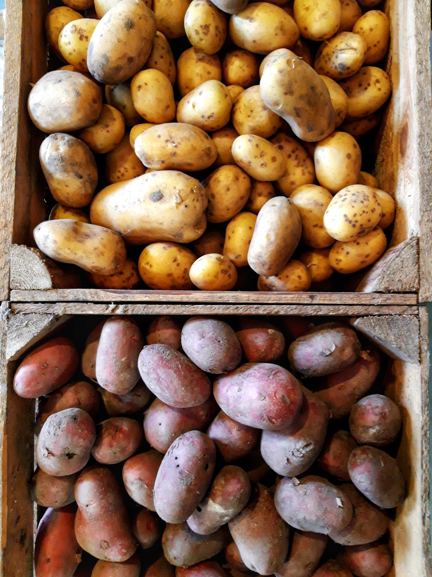 Biologische Aardappelen De Zwaluw – Vers van de Boerderij